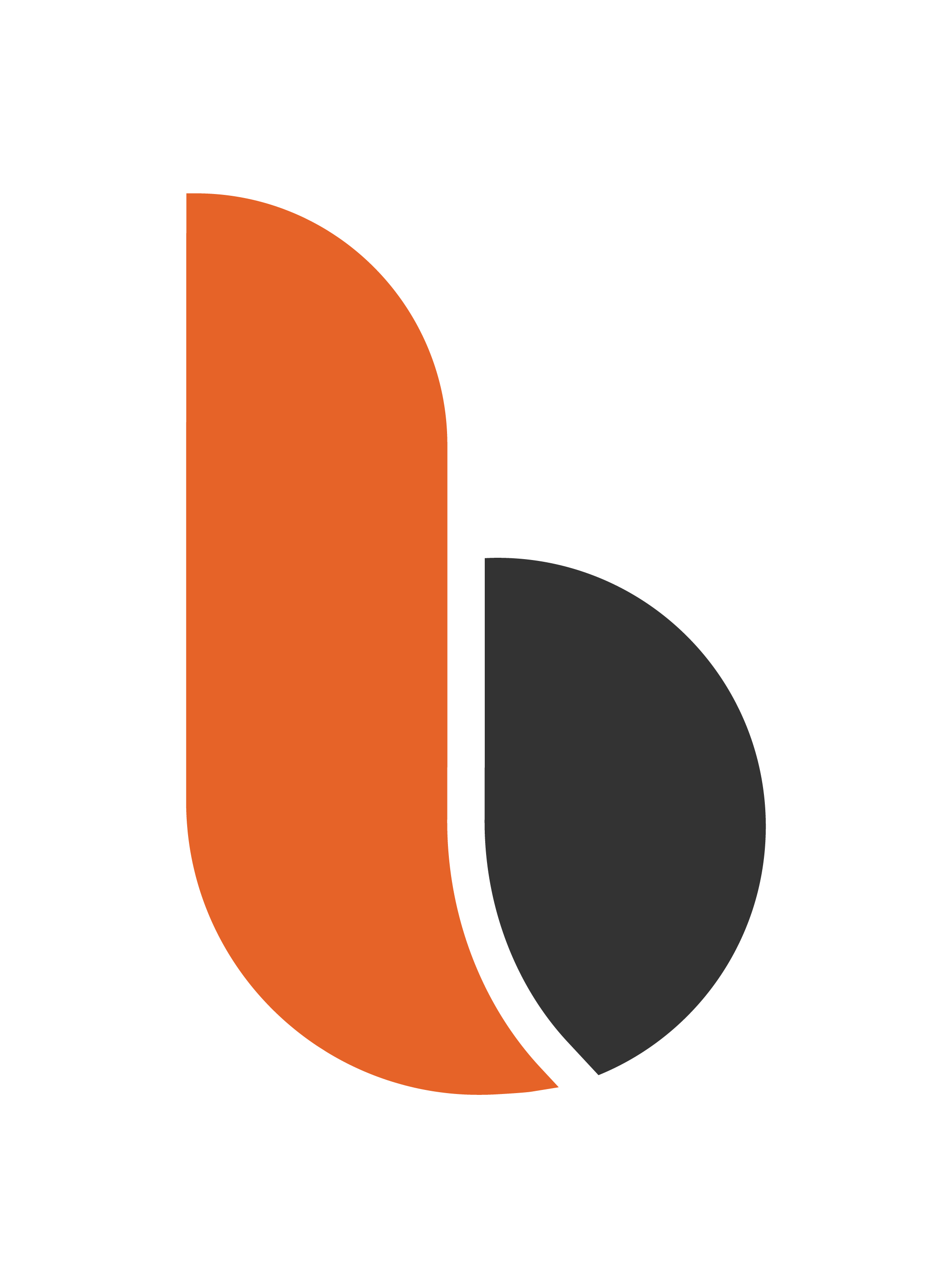 Brytesoft - Who We Are And What We Do